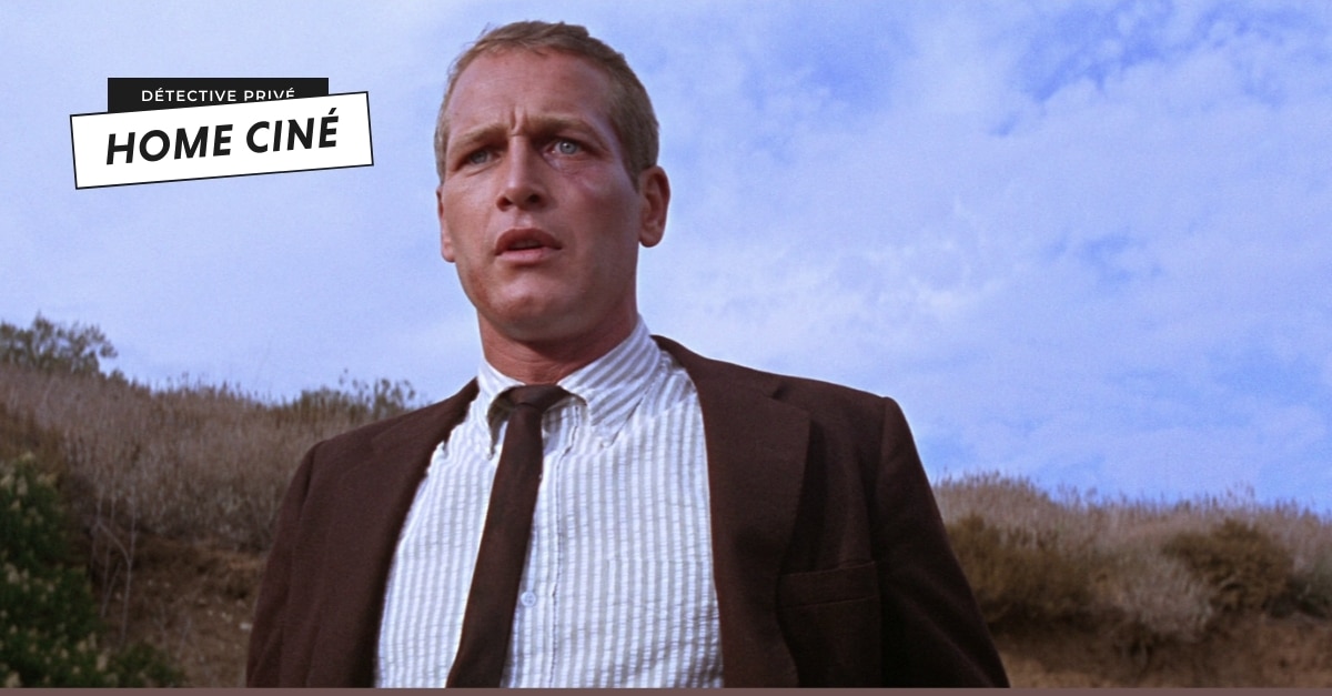 Home Ciné #23 : Paul Newman est Lew Harper, « Détective Privé » | Arty ...