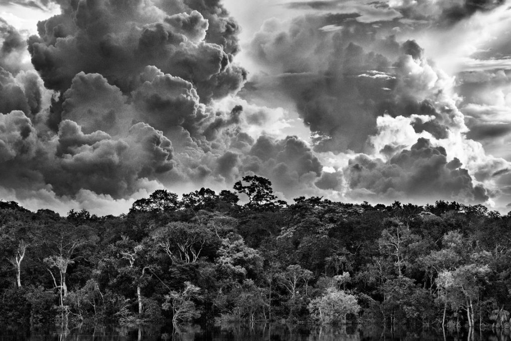 Rencontre avec Sebastião Salgado, photographe humaniste de l’Amazonie ...